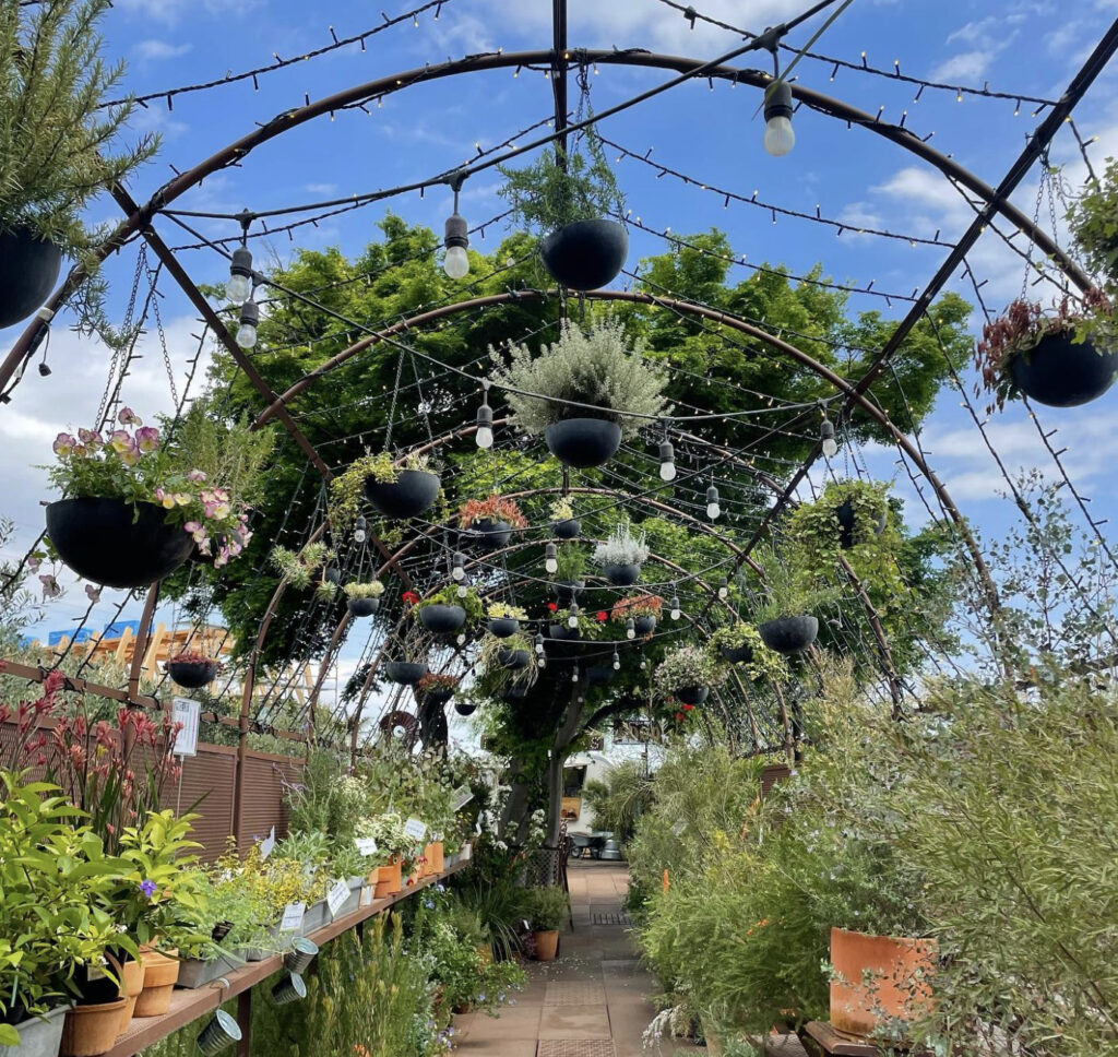 【植栽】子どもと犬も楽しめるSOLSO FARM | HOME CREATE LIFE