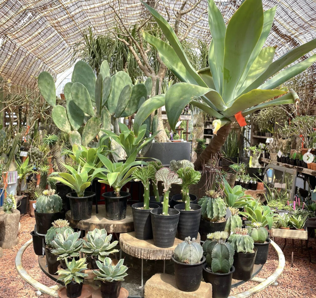 【植栽】子どもと犬も楽しめるSOLSO FARM | HOME CREATE LIFE